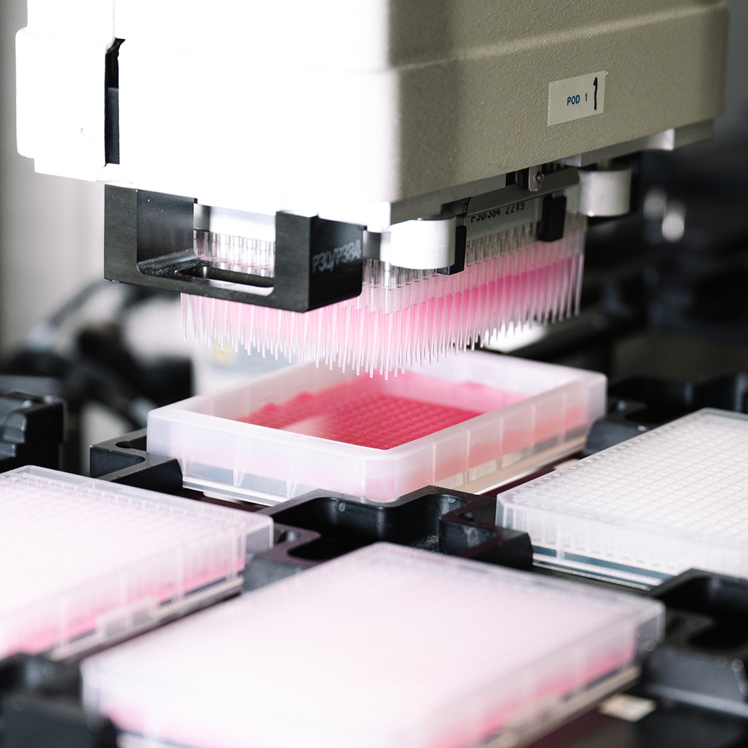 High Throughput Screening HTS | GrowDex® hydrogels | UPM Biomedicals High Throughput Screening HTS | GrowDex® hydrogels | UPM Biomedicals
